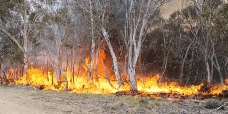 What is Bushfire Attack Level (BAL) assessment?